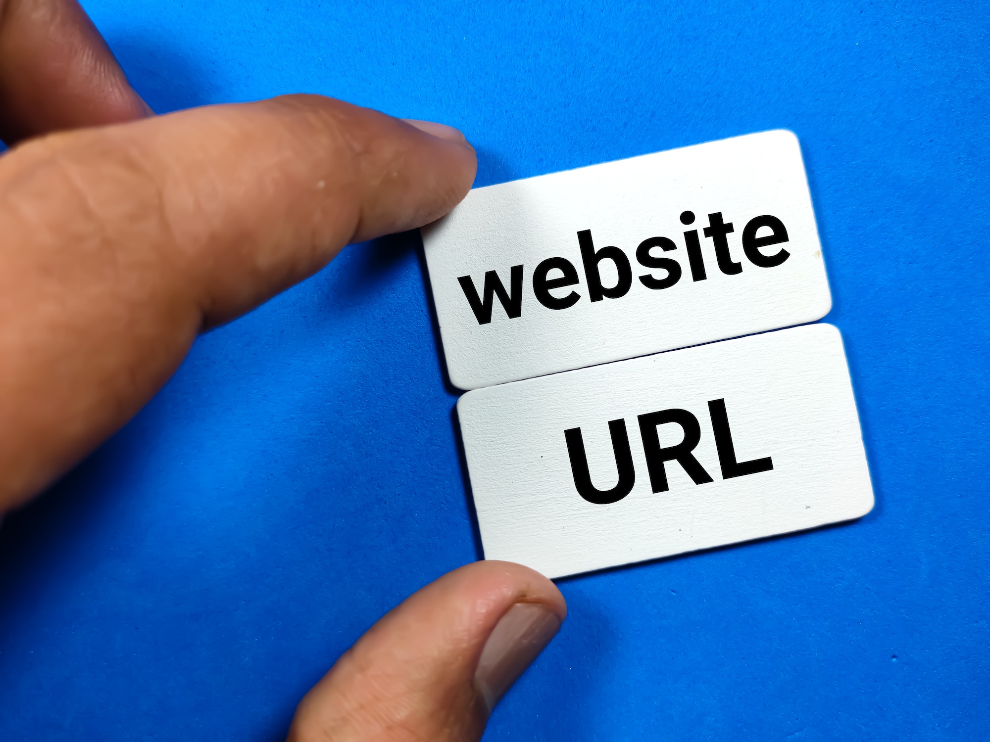 Acortadores de URL: Que es y cómo funcionan | Clicategia Acortadores de URL: Que es y cómo funcionan | Clicategia